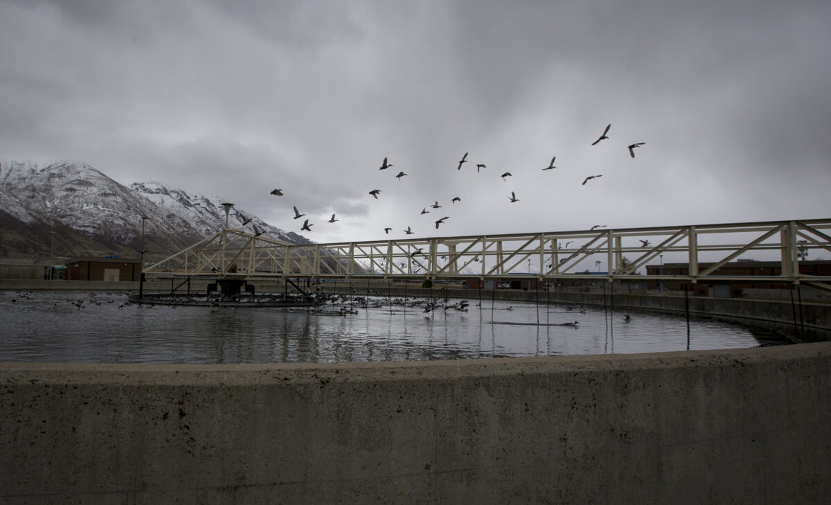 Changing course, officials recommend Provo Wastewater Treatment Plant ...